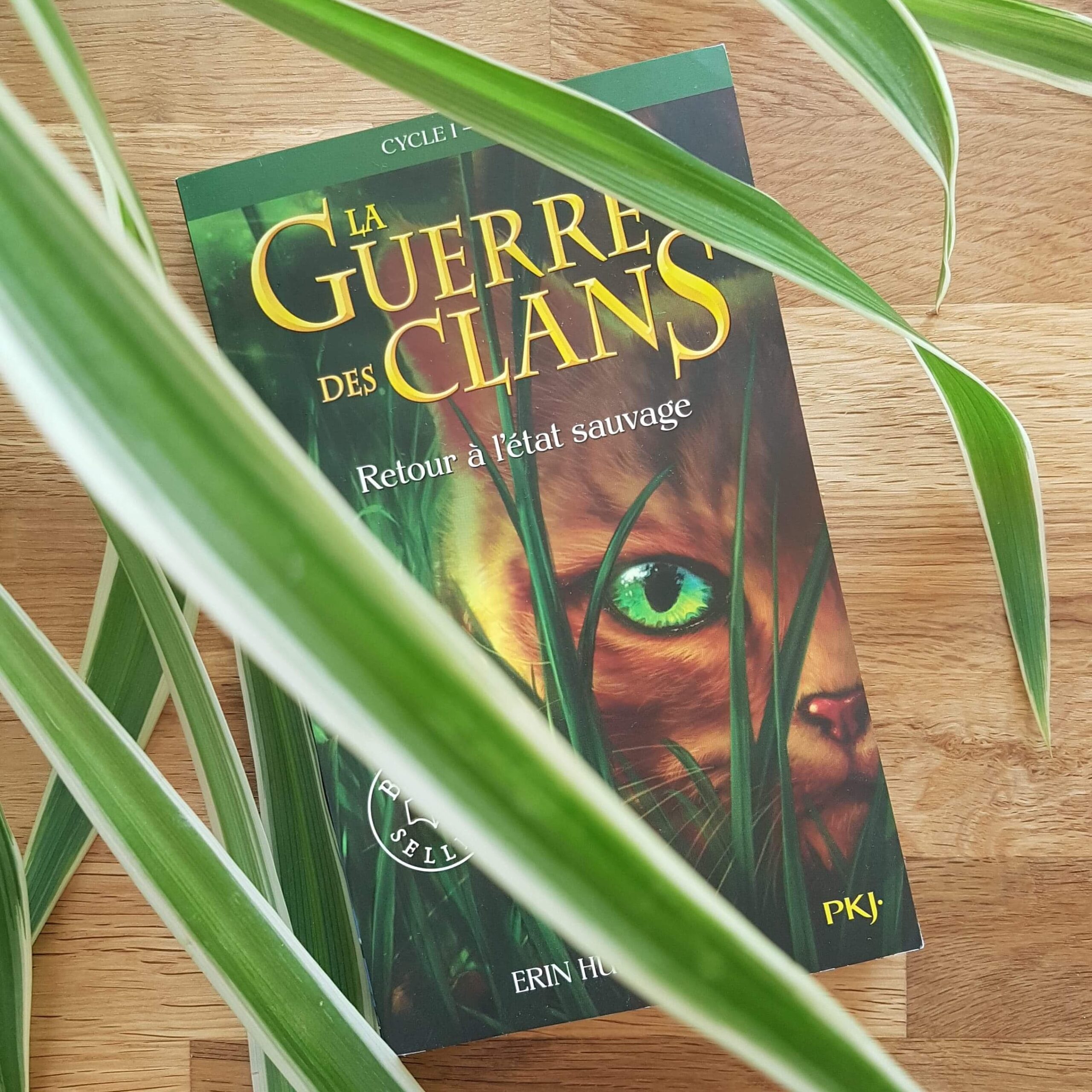 La guerre des clans, retour à l'état sauvage, Erin Hunter